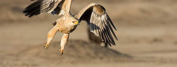 Lake Masek Area, Ngorongoro Conservation Area